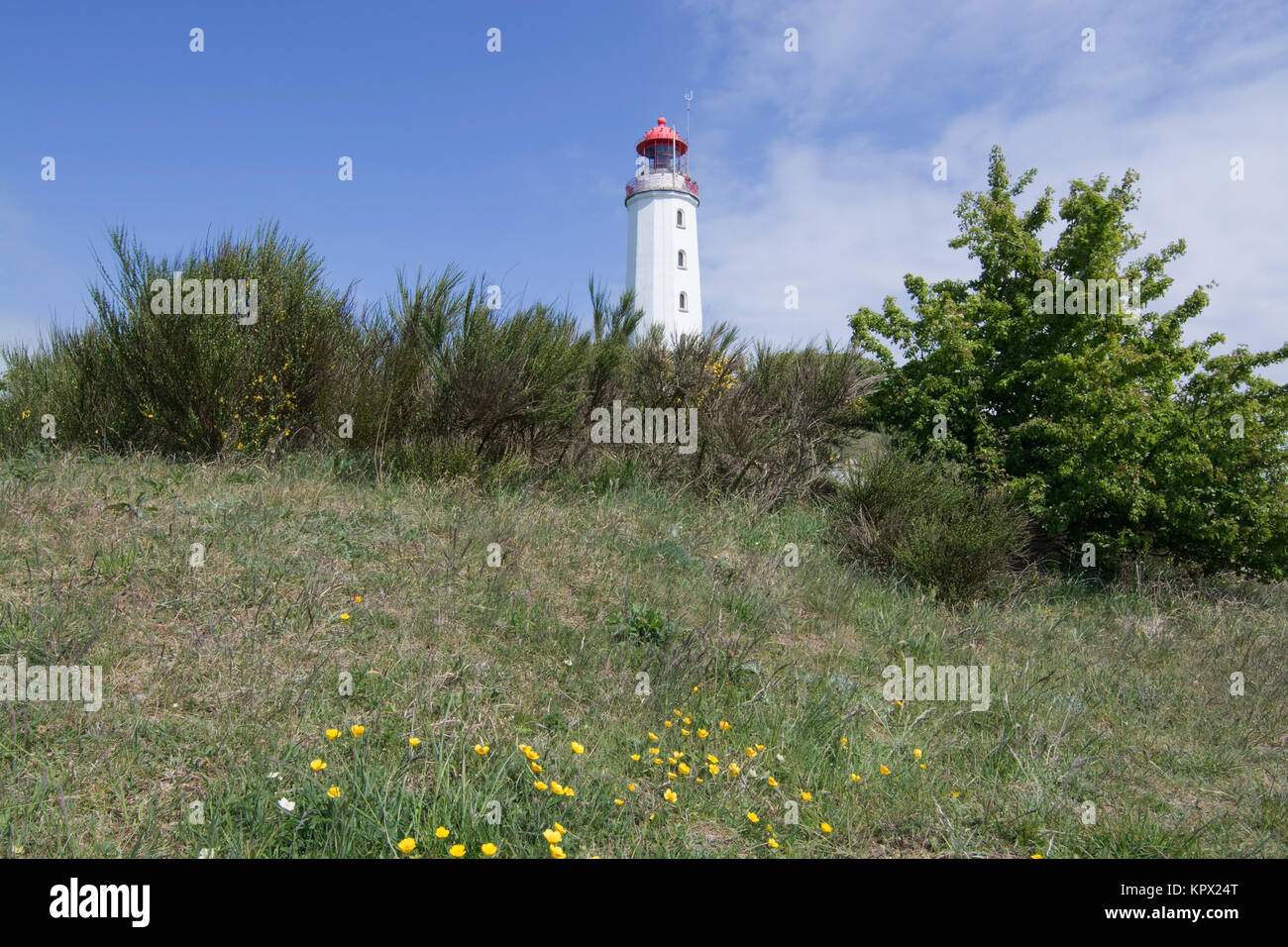 lighthouse dornbusch on hiddensee Stock Photo - Alamy