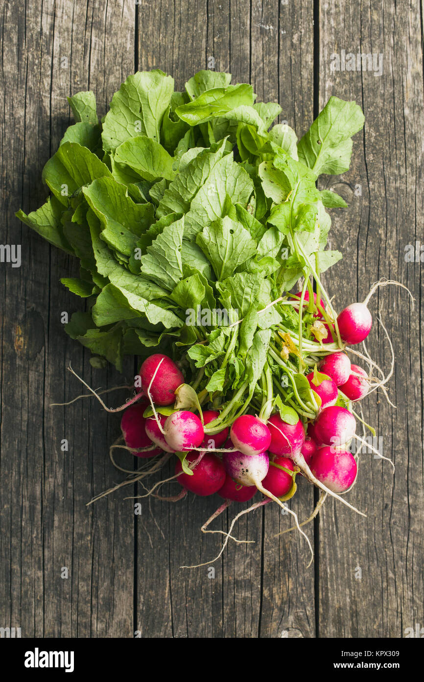Bunch of fresh radishes Stock Photo - Alamy