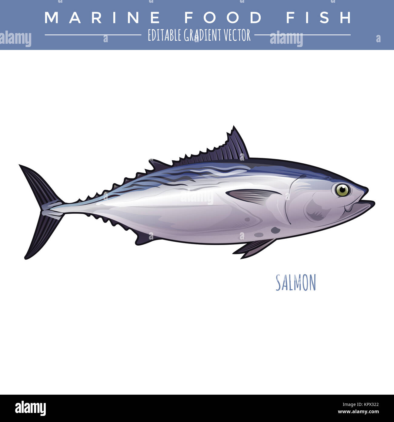 Tuna. Marine Food Fish Stock Photo - Alamy