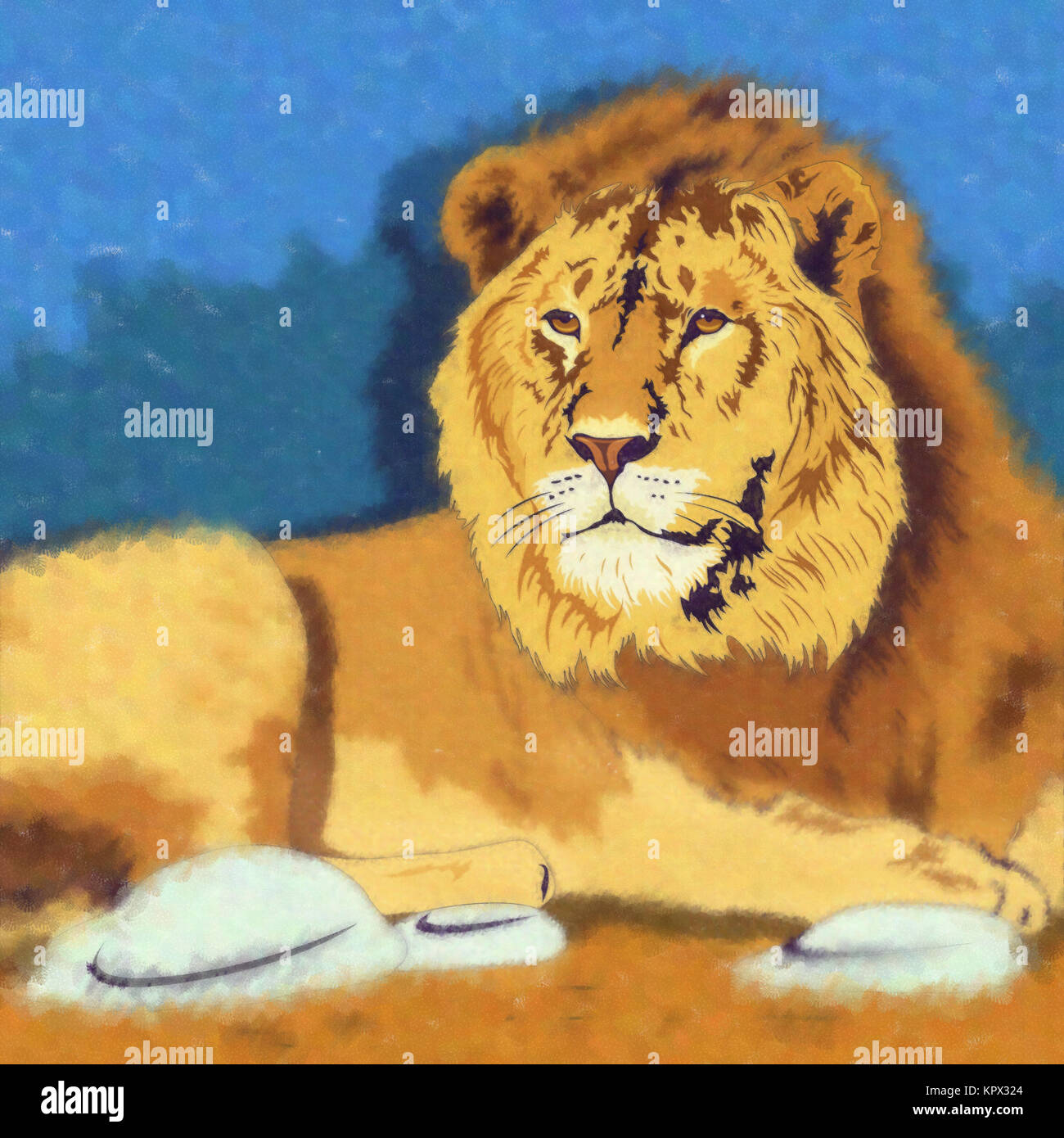 Wild Cats. Lion Stock Photo - Alamy