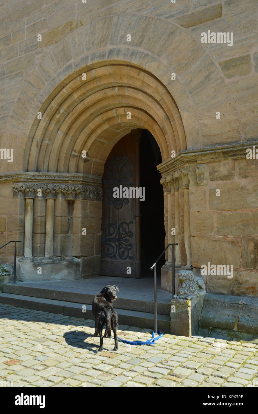 Why Dogs Should Stay Outside