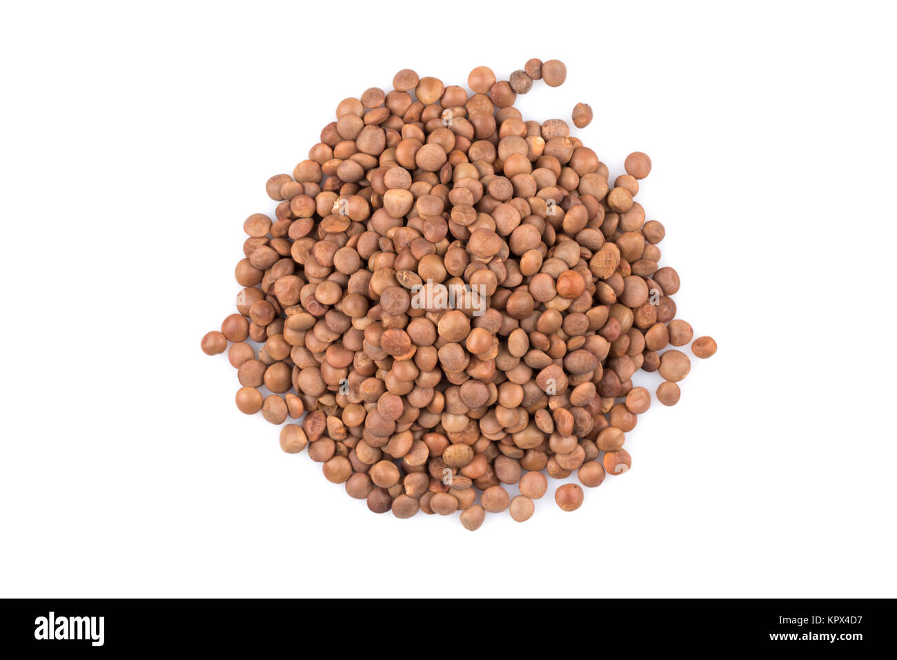 Lentils Isolated on White Background Stock Photo - Alamy
