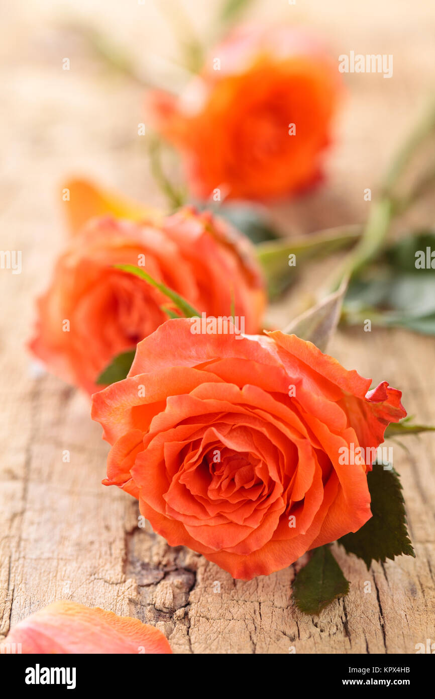 Roses on table Stock Photo - Alamy