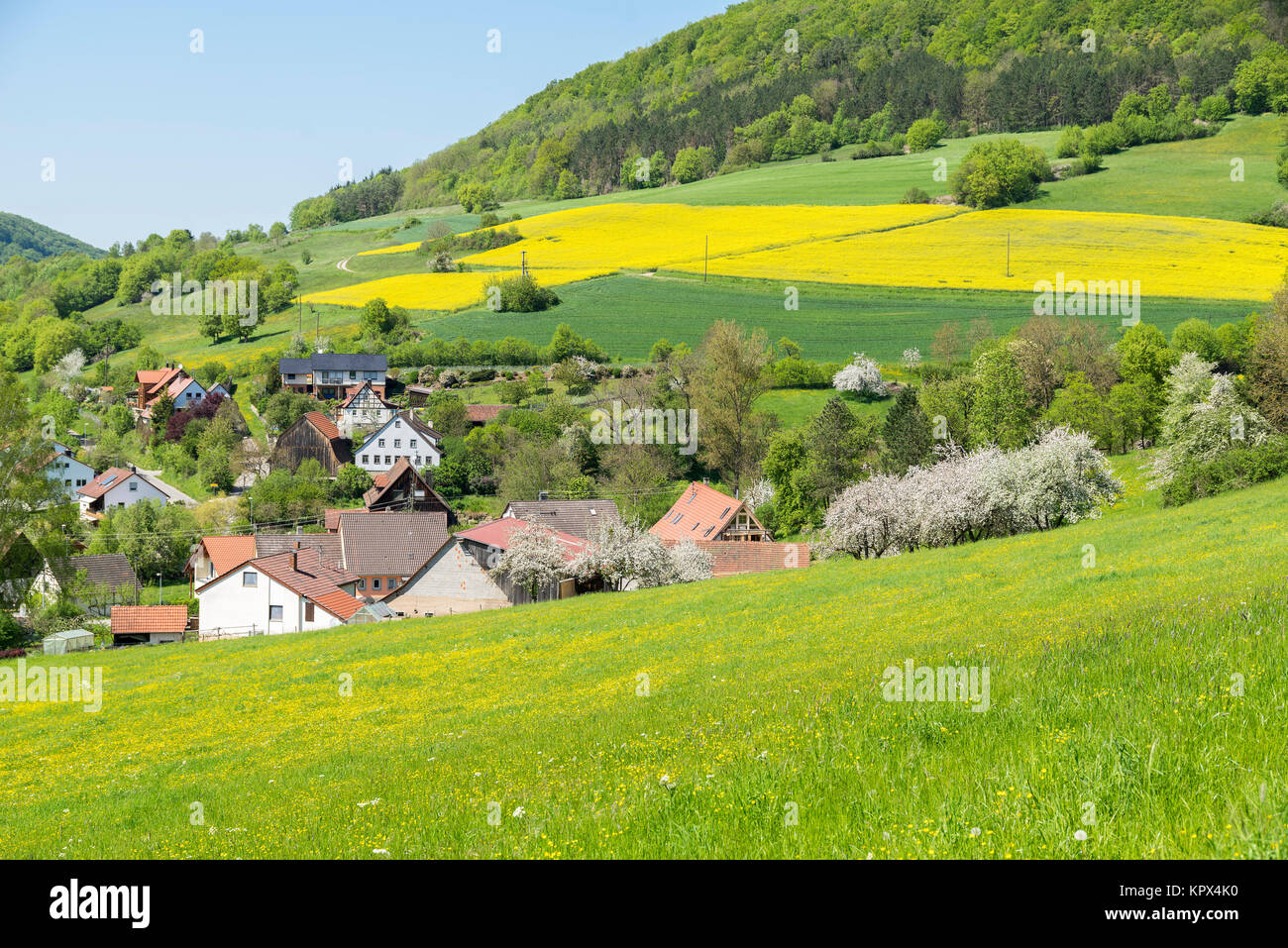 sunny illuminated idyllic rural springtime scenery in Hohenlohe, a ...