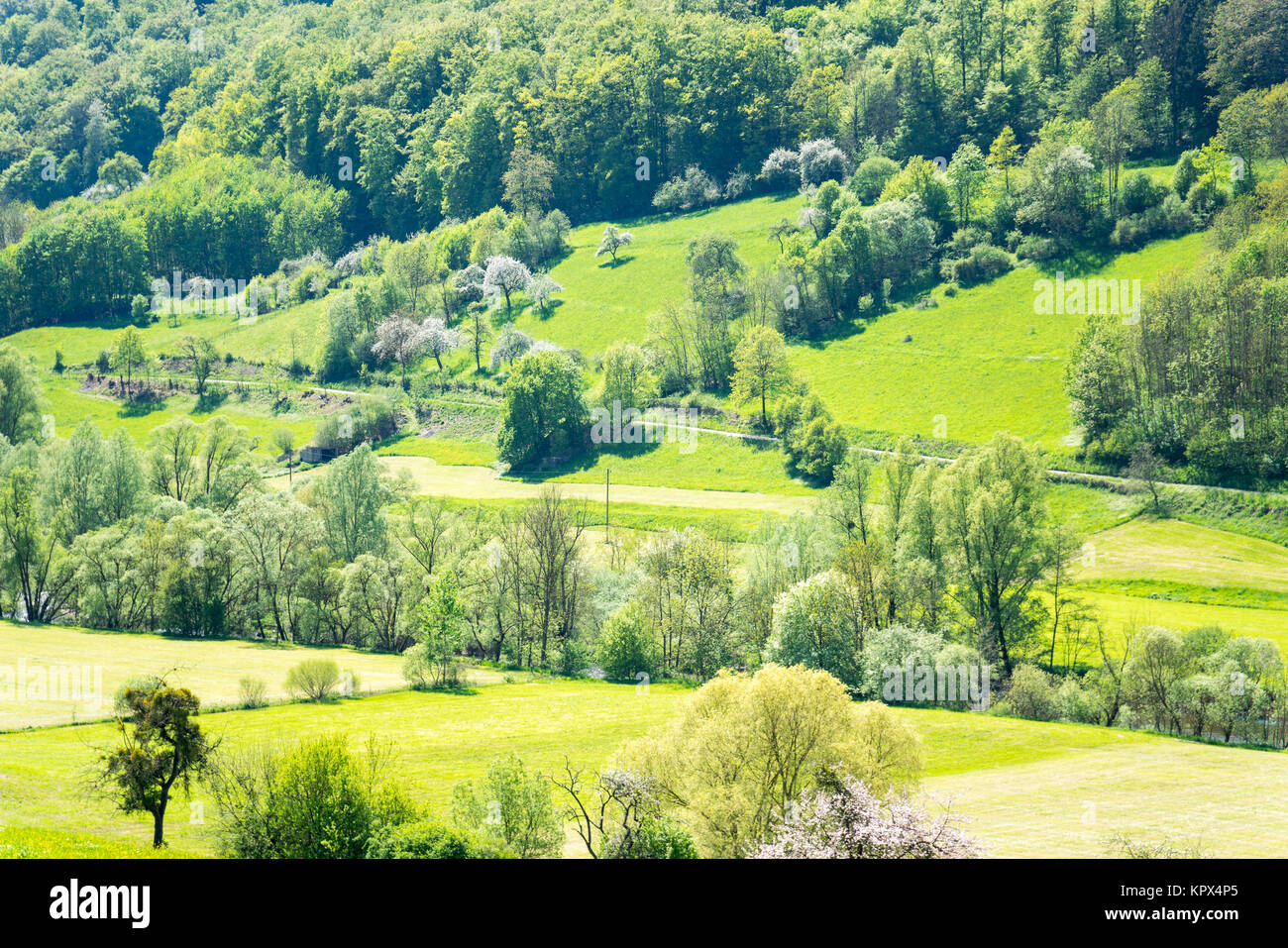 sunny illuminated idyllic rural springtime scenery in Hohenlohe, a ...