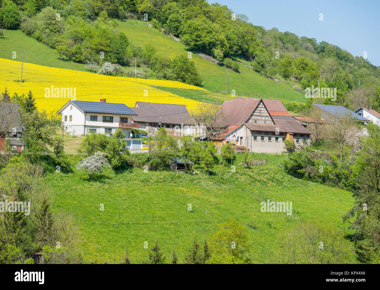rural springtime scenery Stock Photo - Alamy