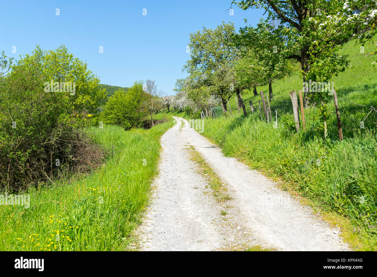 sunny illuminated idyllic field path at spring time in Hohenlohe, a ...