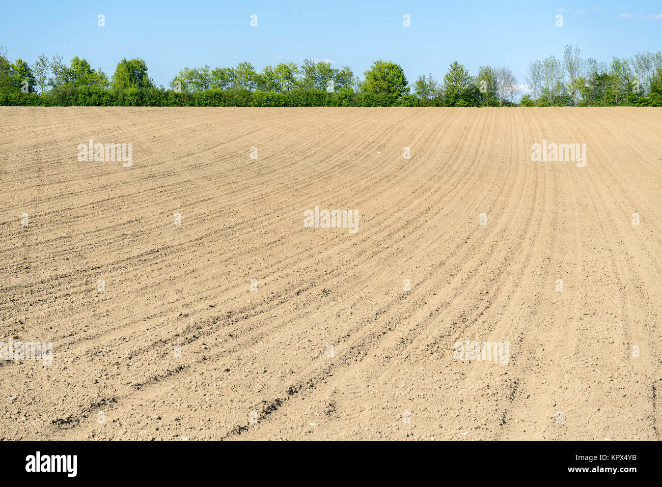 sunny agricultural scenery at a plowed field in Hohenlohe, a district ...
