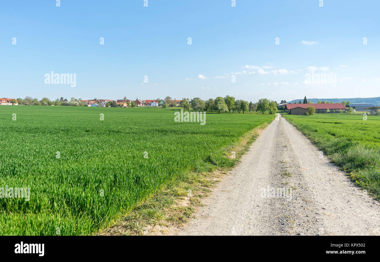 sunny illuminated idyllic field path at spring time in Hohenlohe, a ...