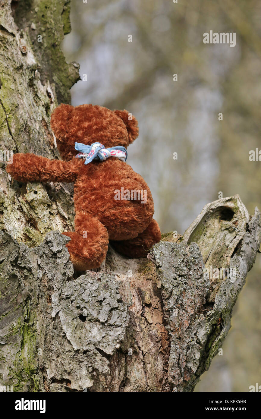 Bear climbing tree to get at honey hi-res stock photography and images ...