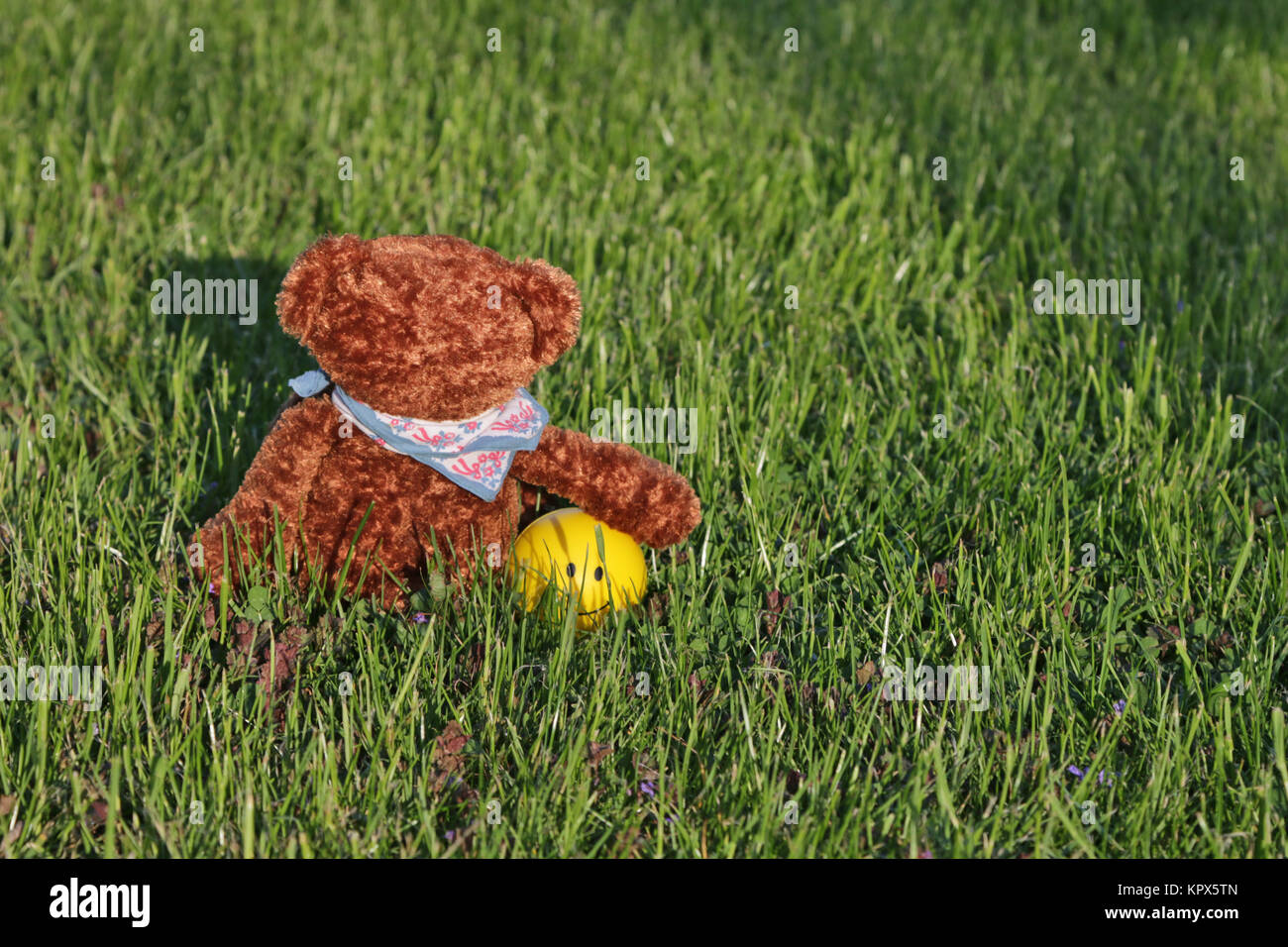 Teddy bear symbolism hi-res stock photography and images - Alamy
