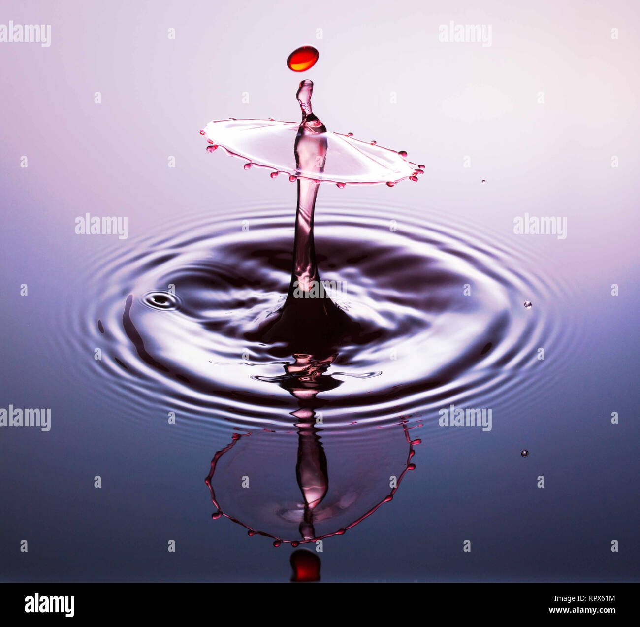 Water Drop Photography Stock Photo - Alamy