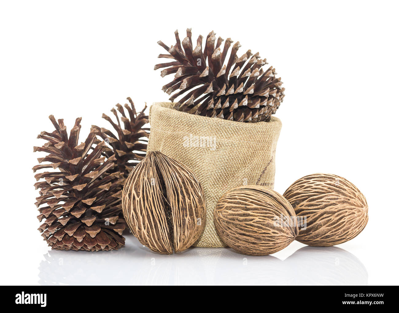 Othalanga - Suicide tree seed and cedar pine cone in sacks fodder Stock ...