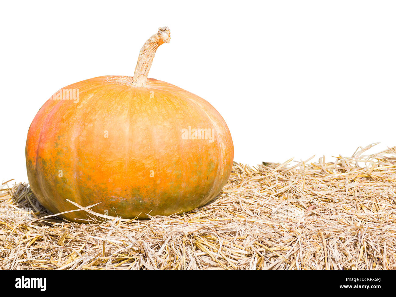 Pumpkin farm production on white Stock Photo - Alamy