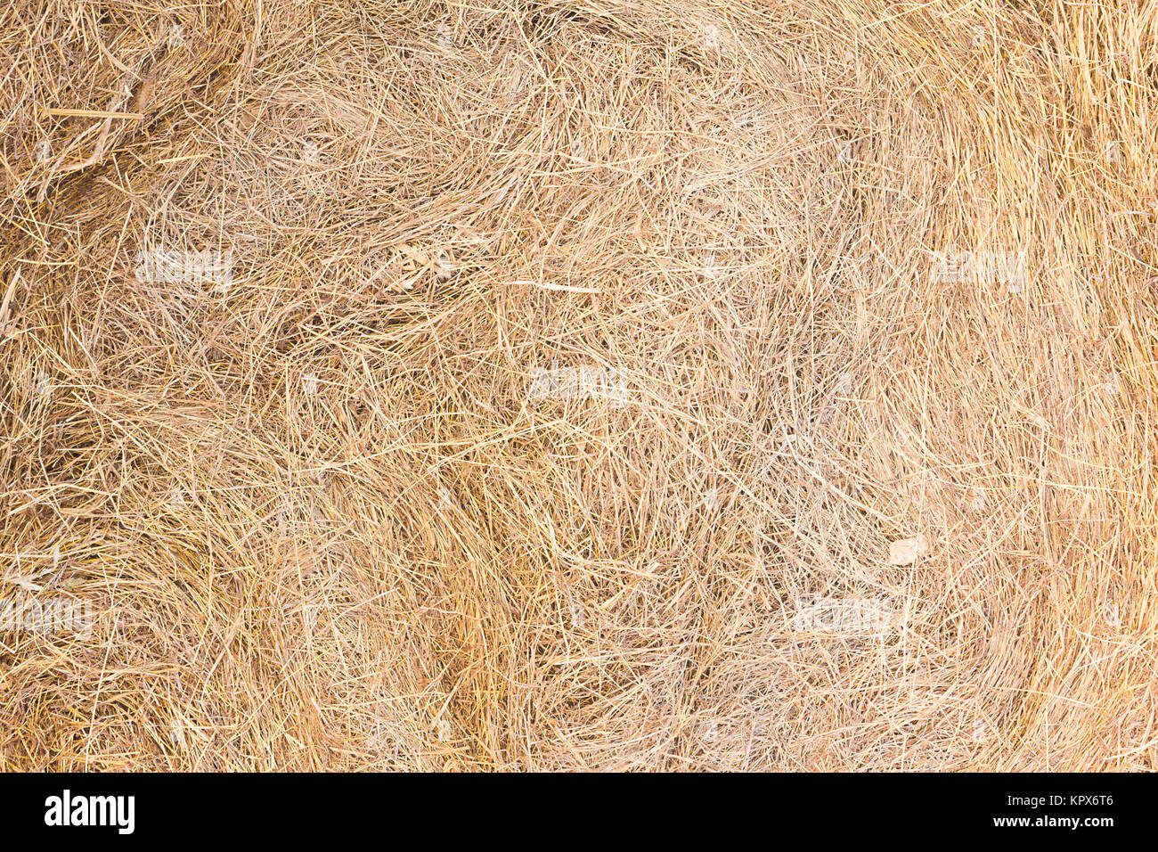 Texture of dry straw Stock Photo - Alamy