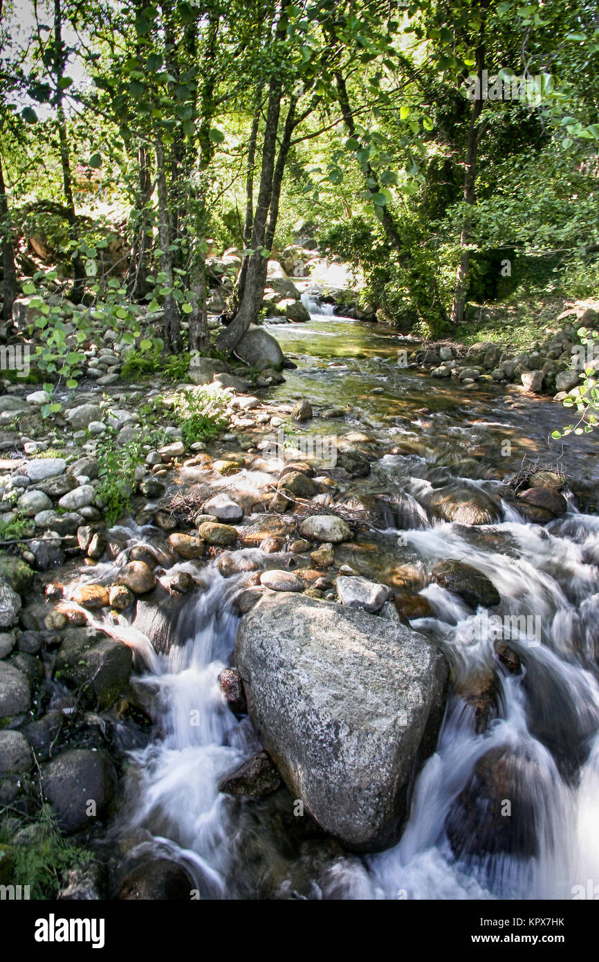 Natural environment of Alardos ravine in Madrigal de la Vera, Vera ...