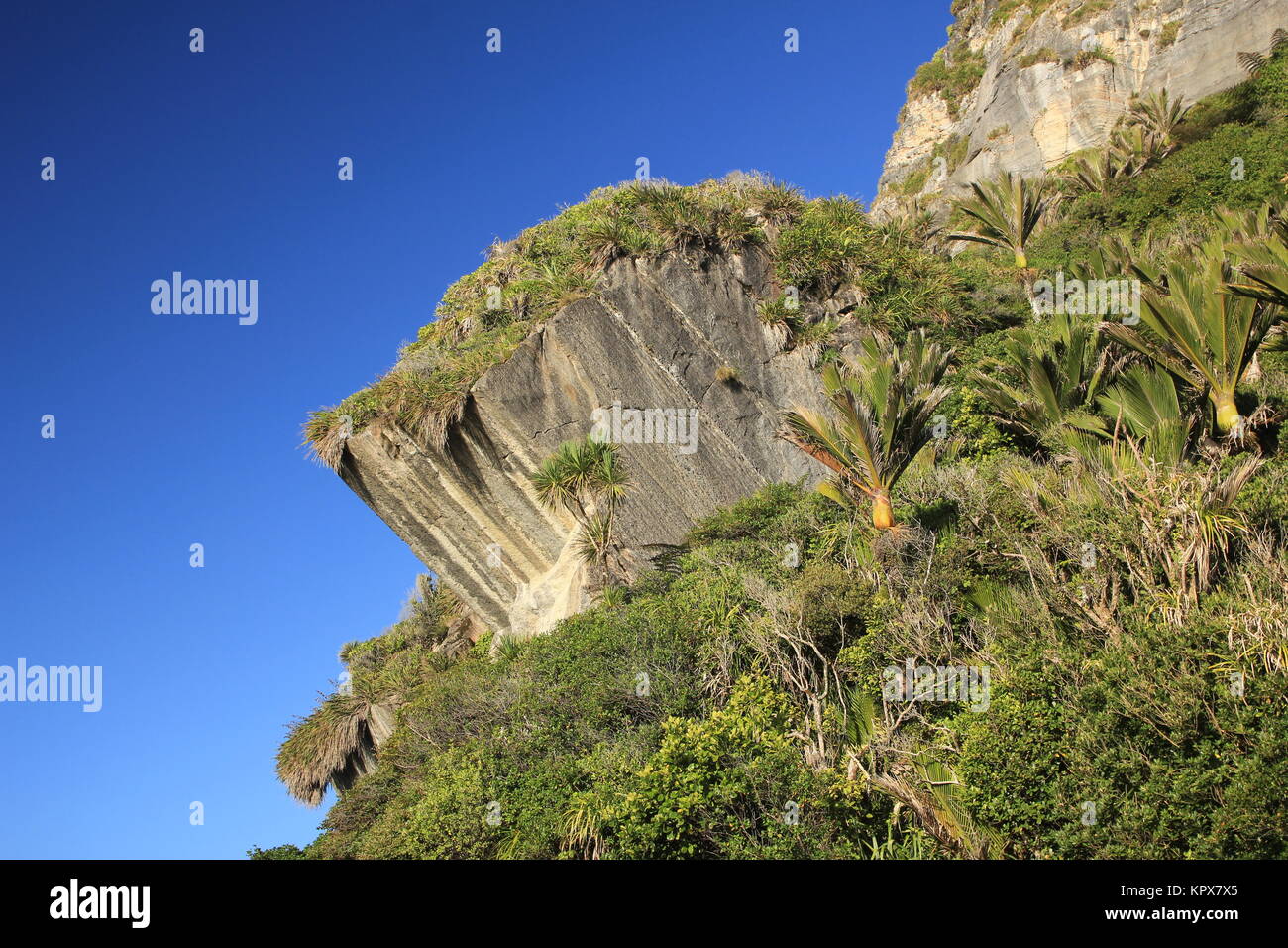 Rock in Punakaiki Stock Photo - Alamy