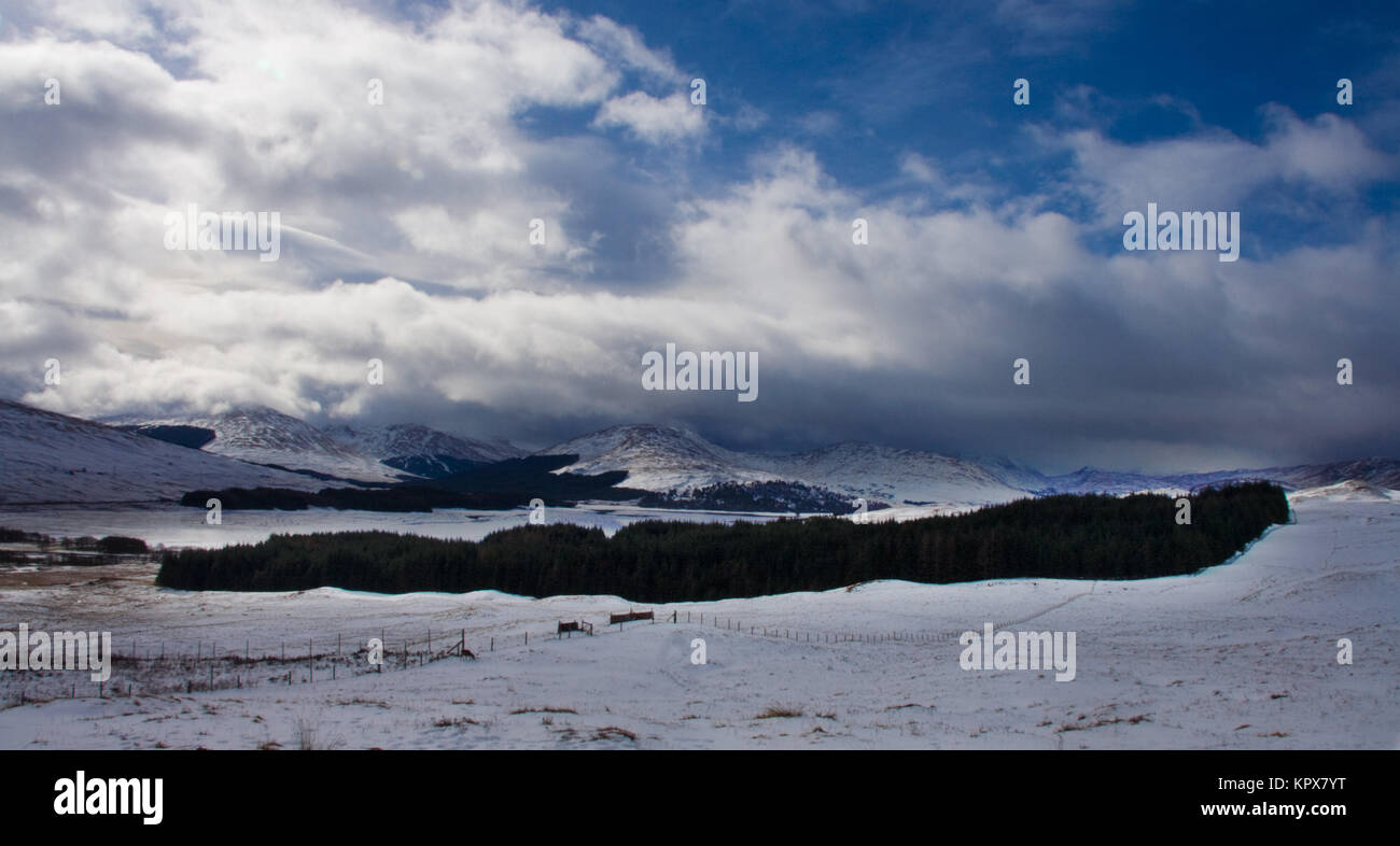 Scottish winter trees hi-res stock photography and images - Alamy