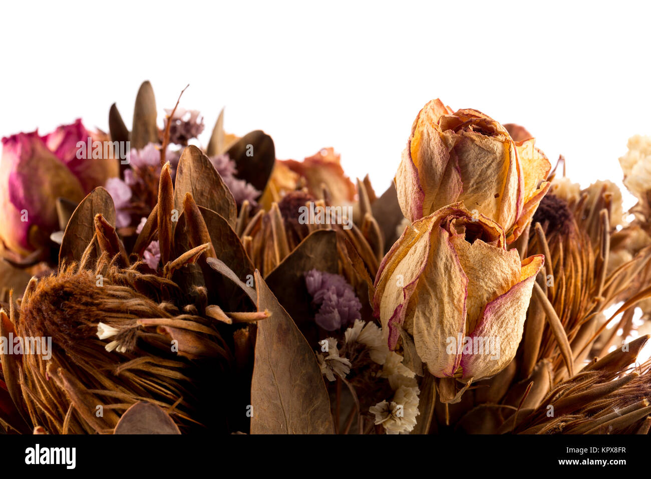 Pretty well thank you hi-res stock photography and images - Alamy