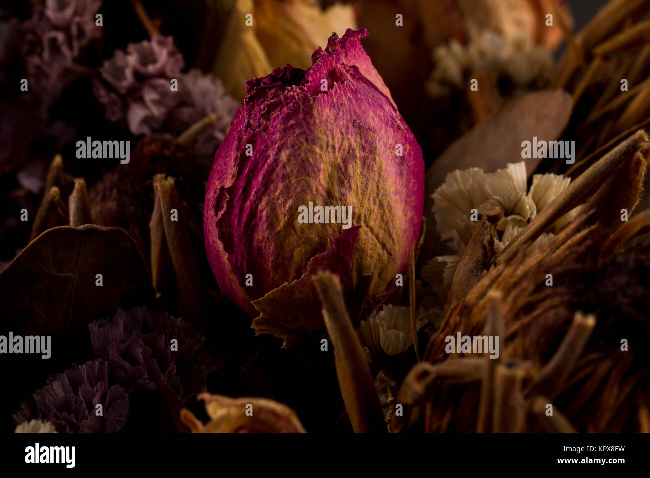 Decoration of dried flowers. Roses Stock Photo - Alamy