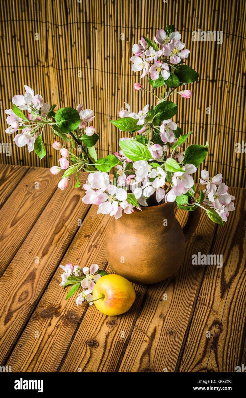 Ripe apple and blossoming branch of an apple-tree in a clay jar, close ...