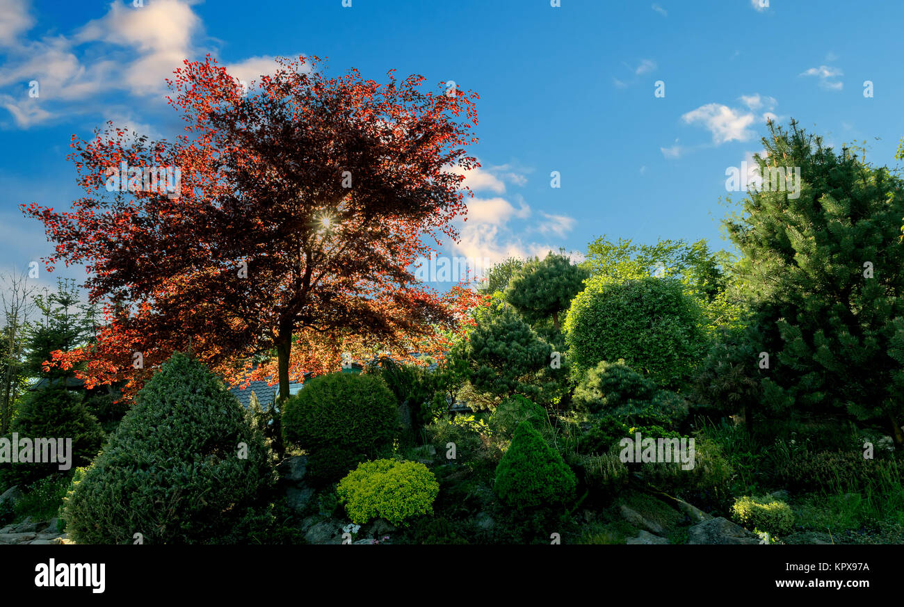 Beautiful spring garden design Stock Photo - Alamy