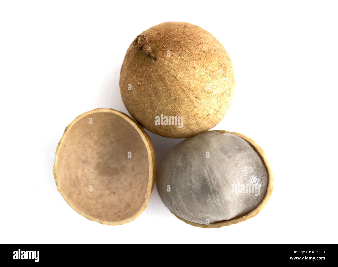 Two Dimocarpus Longan fruit with sheel half peel showing translucent ...