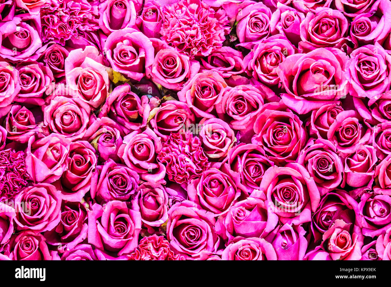 Abstract background of flowers. Close up Stock Photo - Alamy