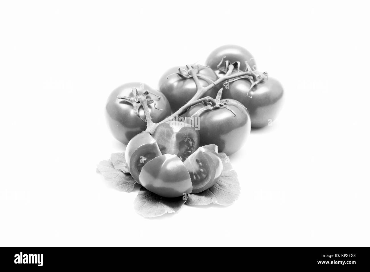 Exotic varieties Black and White Stock Photos & Images - Alamy