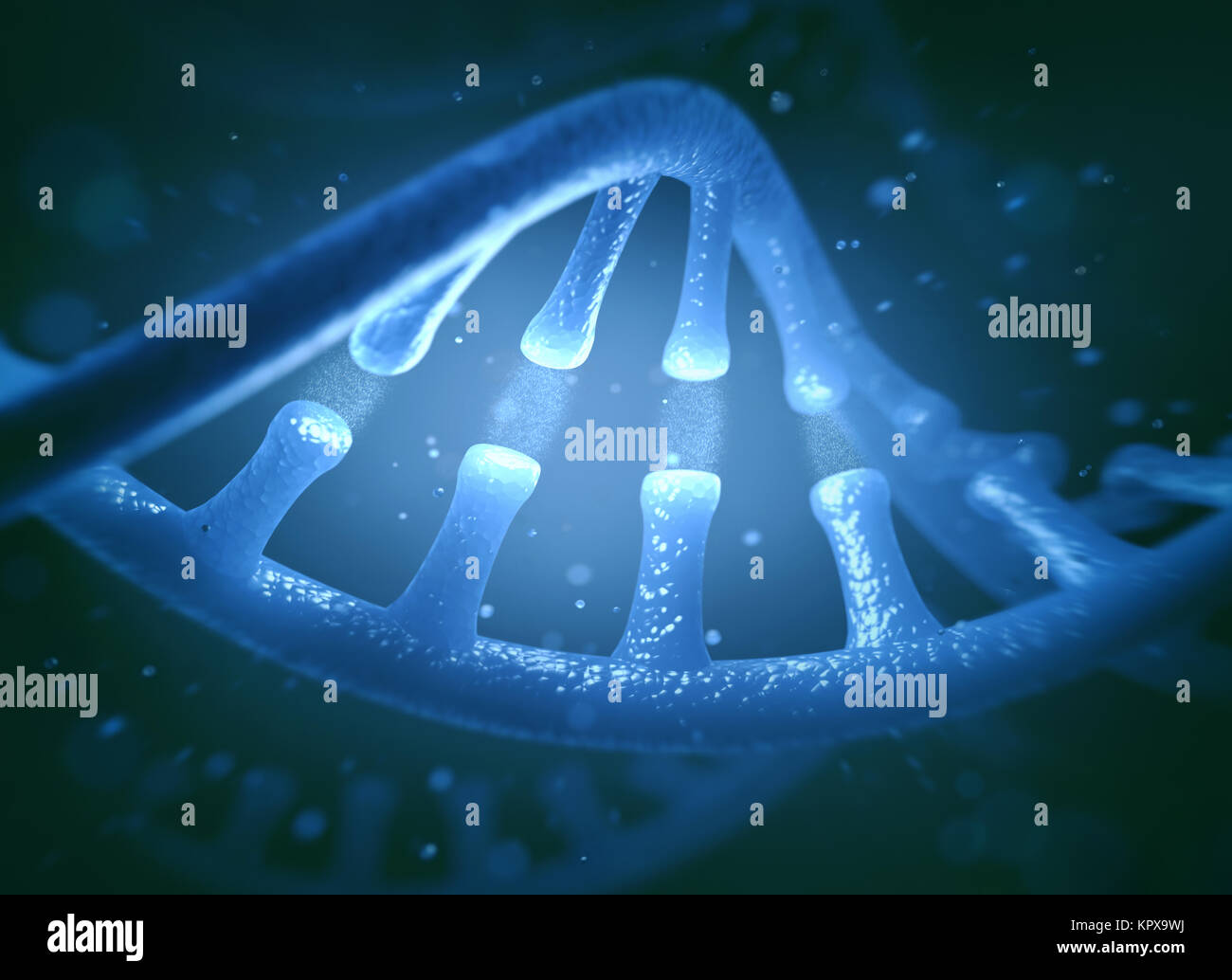 DNA and RNA molecules Stock Photo - Alamy