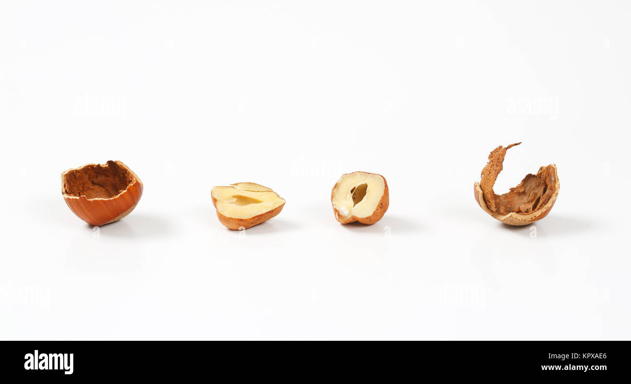 freshly cracked hazelnut Stock Photo - Alamy freshly cracked hazelnut Stock Photo - Alamy