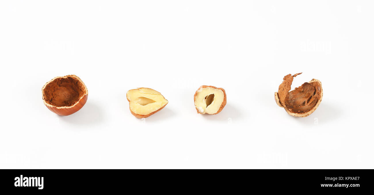 freshly cracked hazelnut Stock Photo - Alamy freshly cracked hazelnut Stock Photo - Alamy