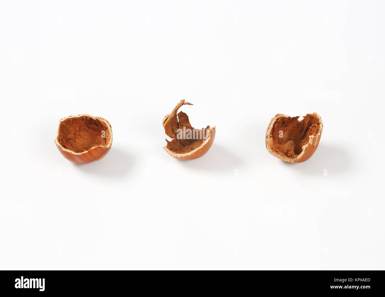 empty hazelnut shells Stock Photo - Alamy