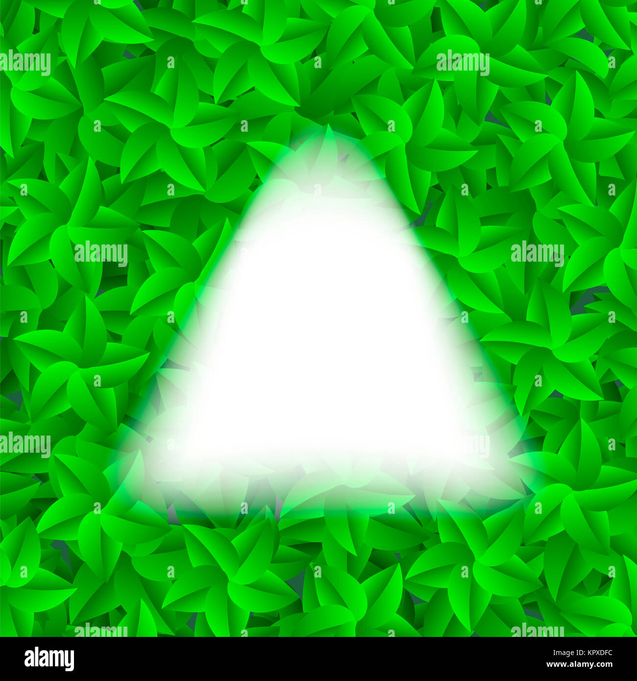 Green Leaves Pattern. Evergreen Hedgegrow Stock Photo - Alamy