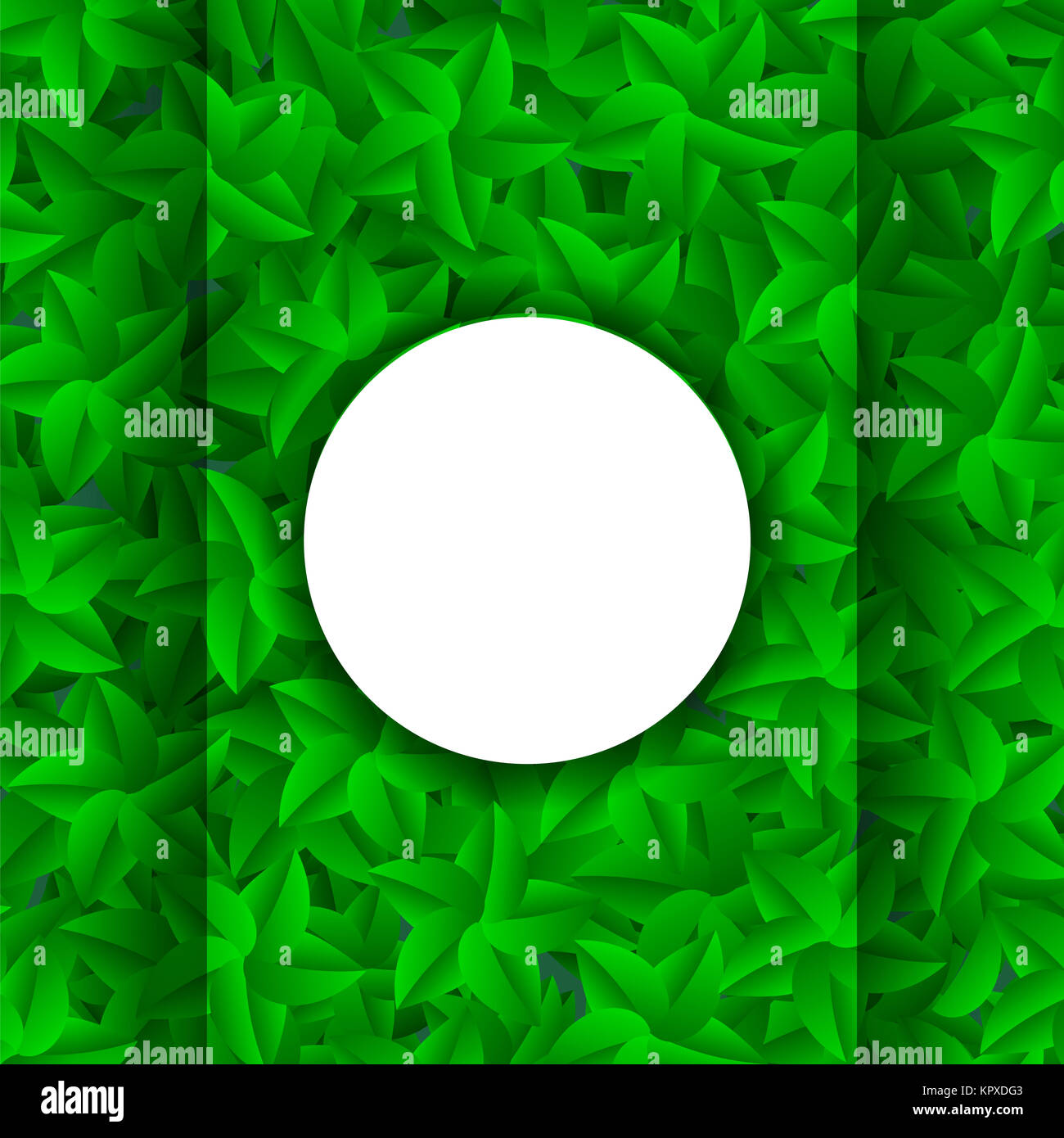 Green Leaves Pattern. Evergreen Hedgegrow Stock Photo - Alamy