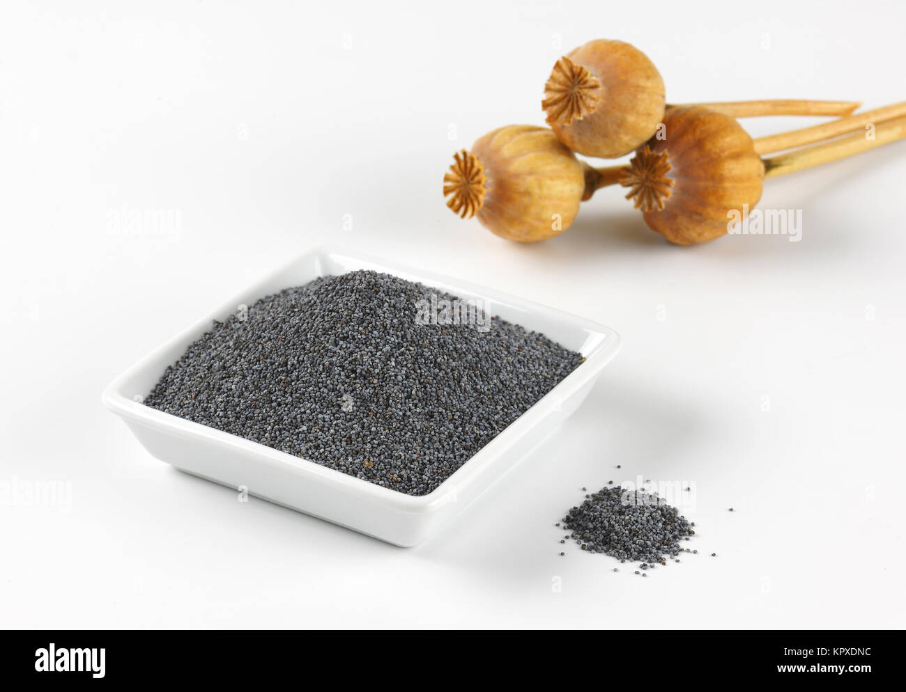 poppy seeds and dried seed heads Stock Photo - Alamy