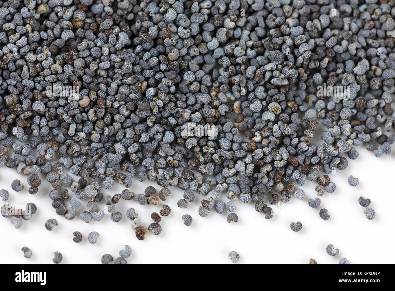 whole poppy seeds Stock Photo - Alamy