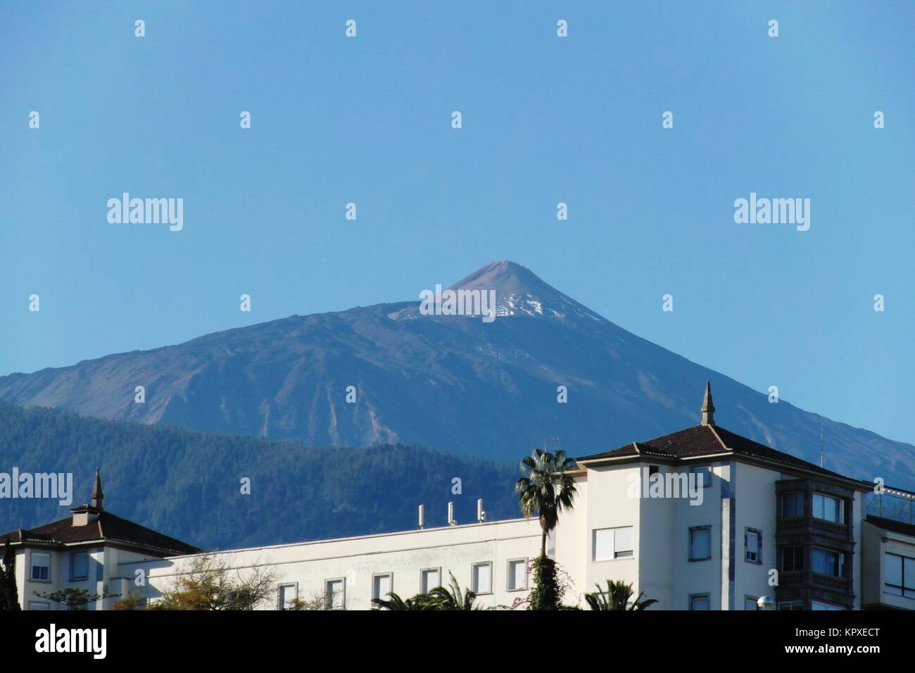 Canarian island Tenerife, nature and city Stock Photo - Alamy