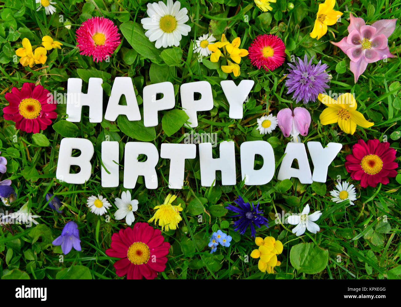happy birthday text on colorful flower meadow Stock Photo - Alamy