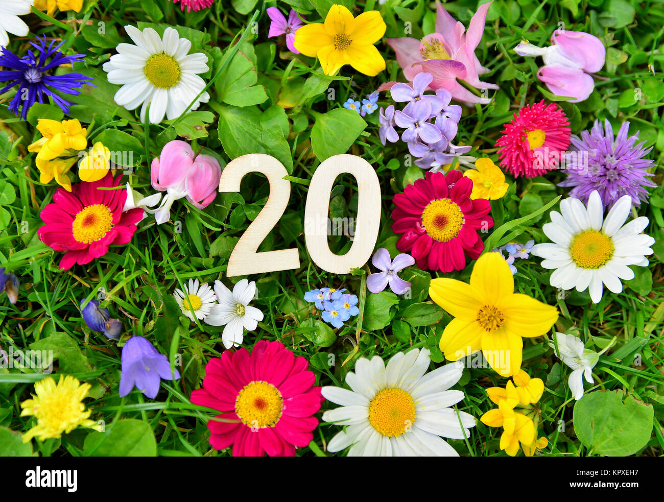 20 birthday number on flower meadow Stock Photo - Alamy