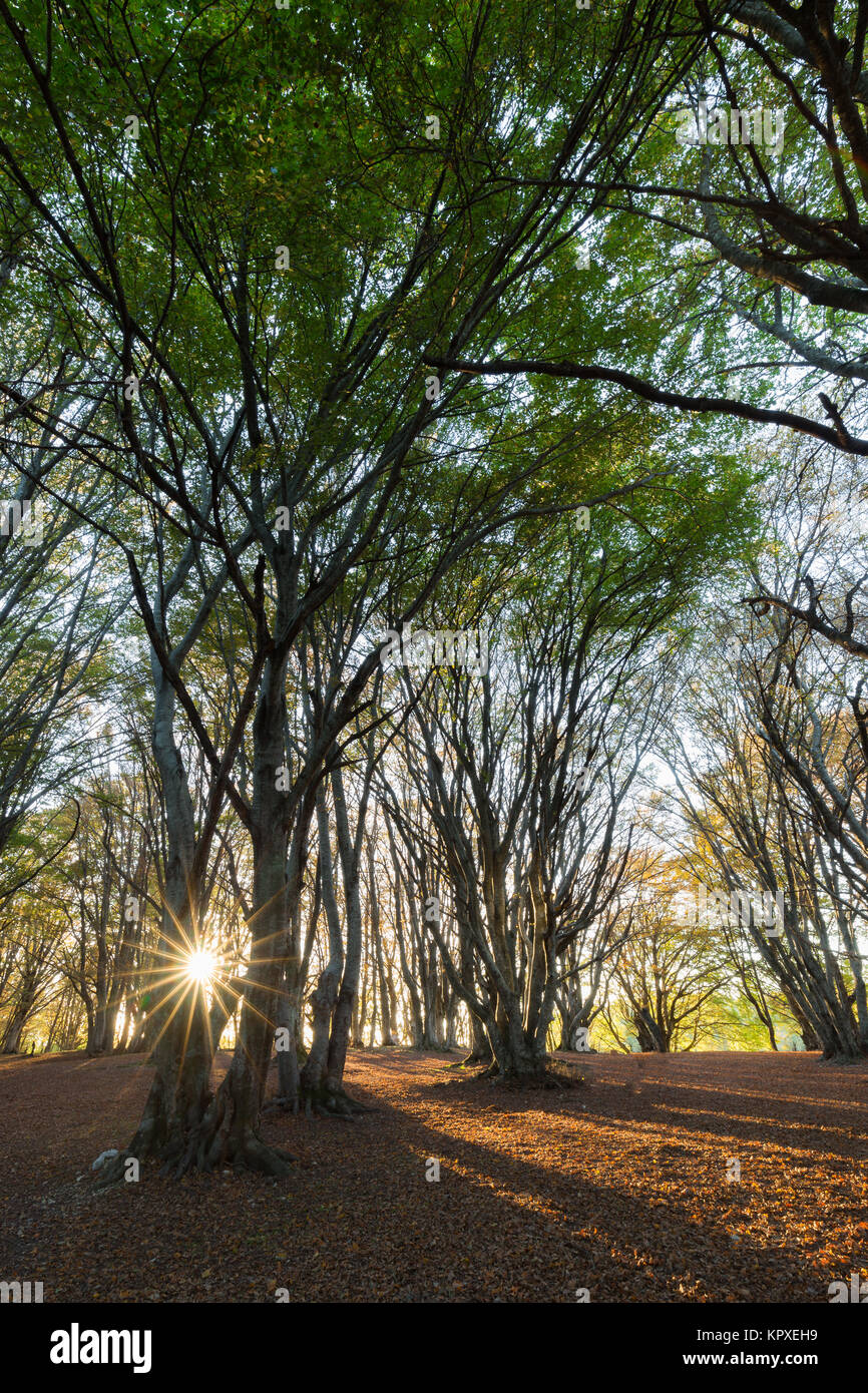 Long shadows and low sun hi-res stock photography and images - Alamy