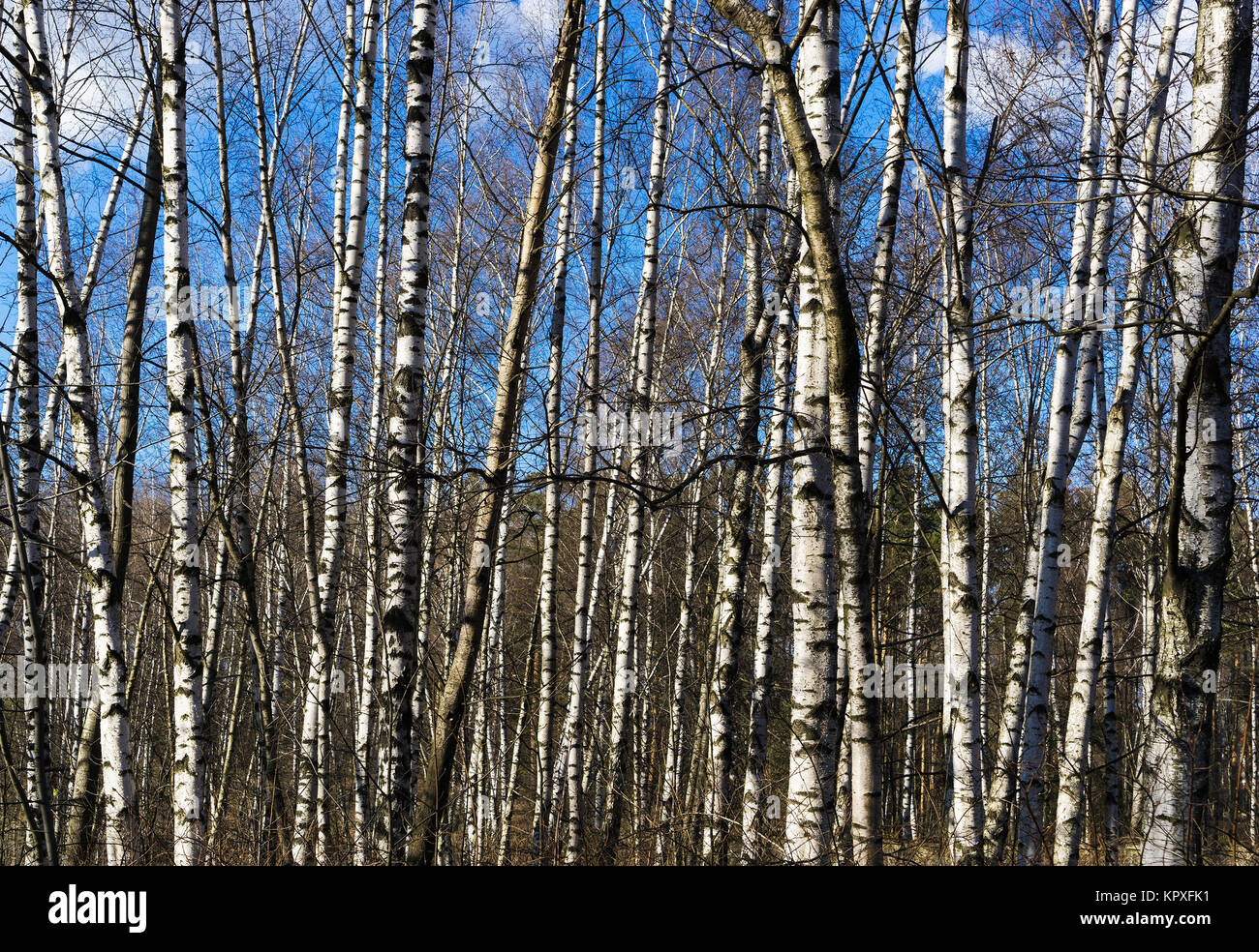 Russian traveller hi-res stock photography and images - Alamy