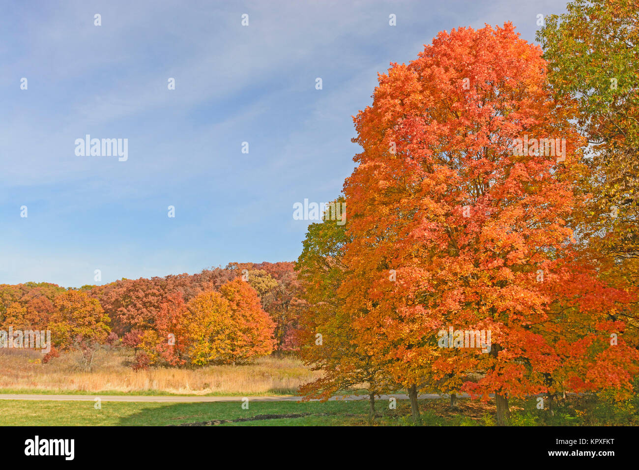 Morton arboretum hi-res stock photography and images - Alamy