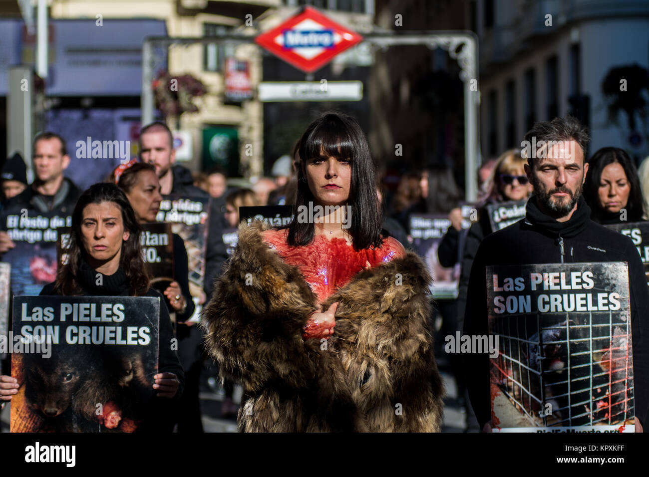 Madrid, Spain. 17th Dec, 2017. An activist of pro-animal rights group ...