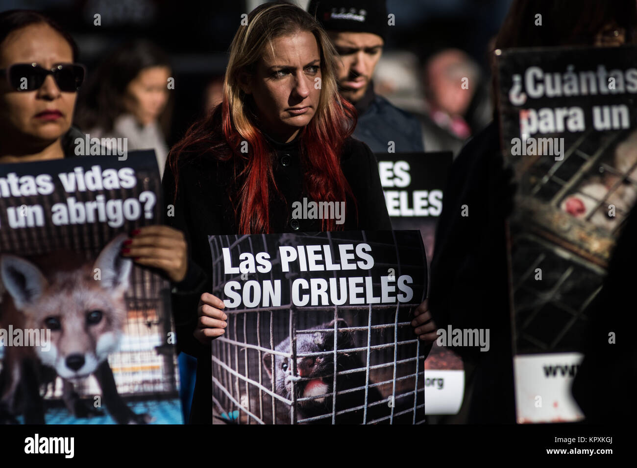 Animalists hi-res stock photography and images - Alamy