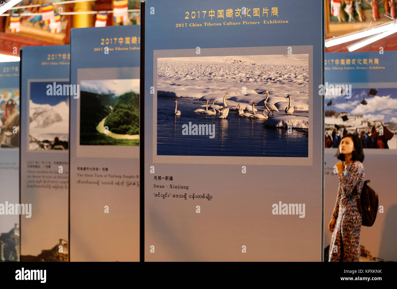 Yangon, Myanmar. 17th Dec, 2017. A visitor views the pictures at the ...
