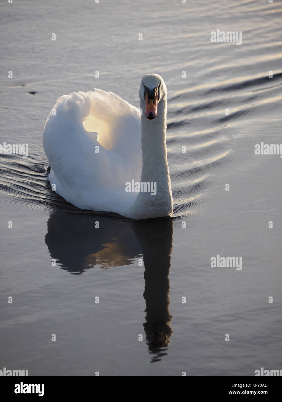 Sheerness, Kent, UK. 18th Dec, 2017. UK Weather: a sunny morning (temp ...