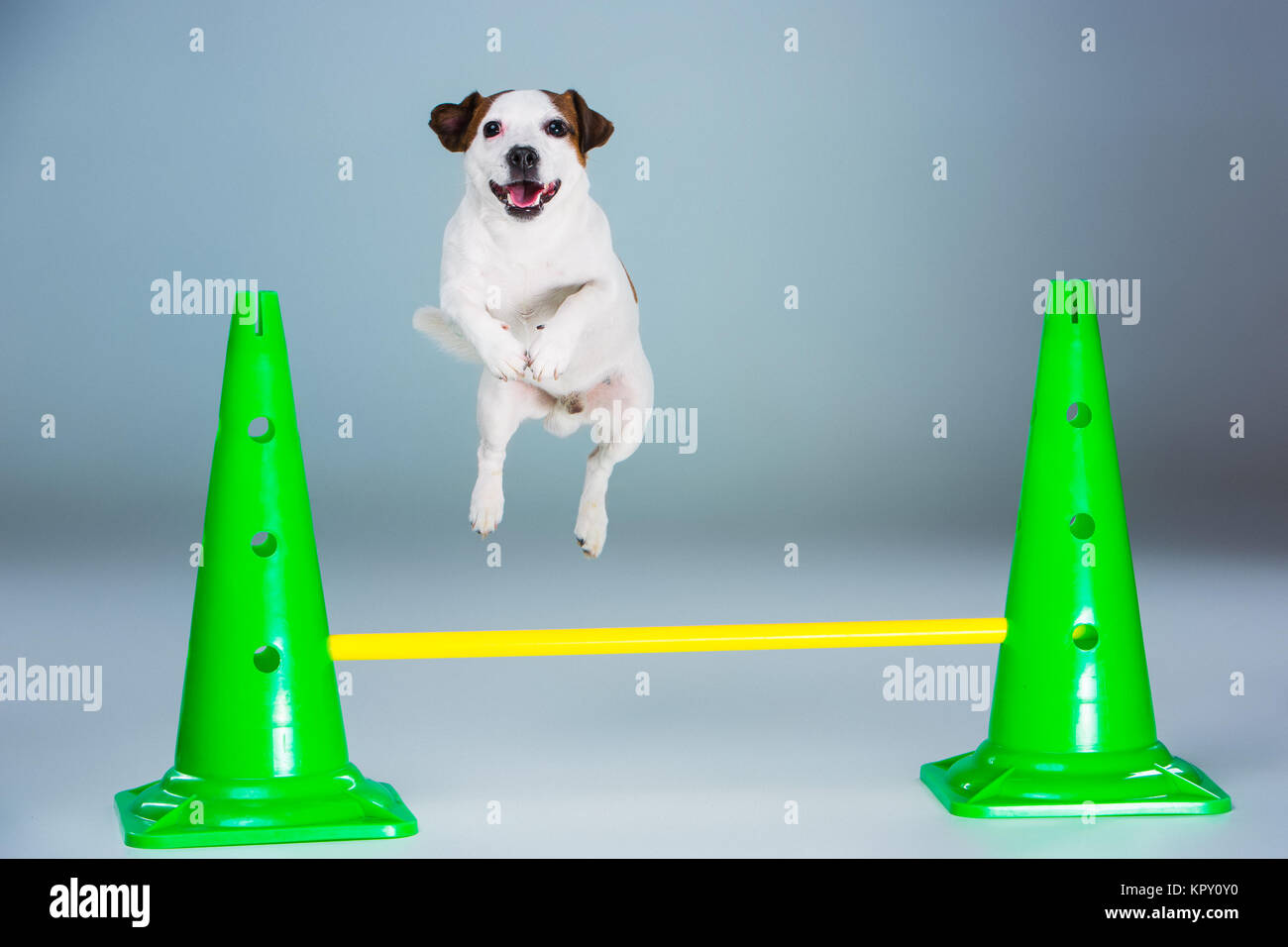 Jumping jack pose hi-res stock photography and images - Alamy