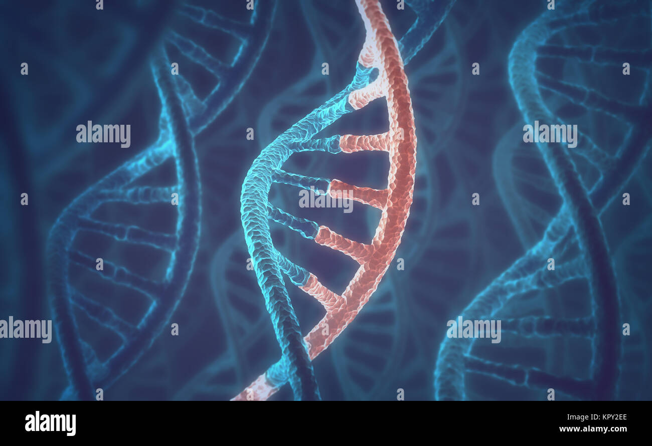 DNA and RNA molecules Stock Photo - Alamy