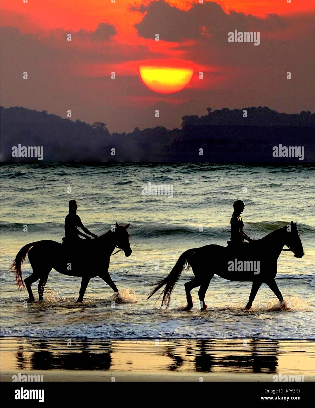 Pferde am strand hi-res stock photography and images - Alamy